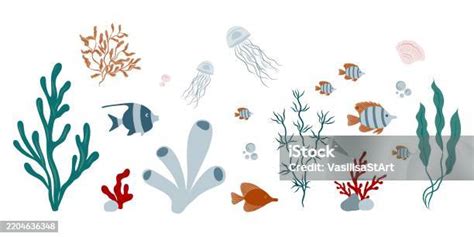 해조류 해초 산호 식물 조개 물고기 해파리 수중 세계의 해양 생물 수중 세트 개체 그룹에 대한 스톡 벡터 아트 및 기타 이미지 개체 그룹 귀여운 껍데기 Istock