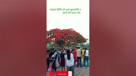 बुद्ध शान्ति ४बर्ने झापा जिल्लाको इलाम रोड स्थित भाइरल शिरीषको फूल र