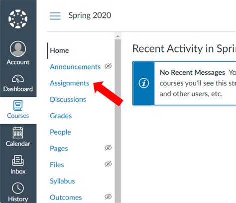 how do i access reports and insights for ck 12 assignments in canvas