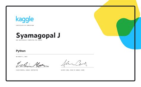 syamagopal j completed the python course on kaggle