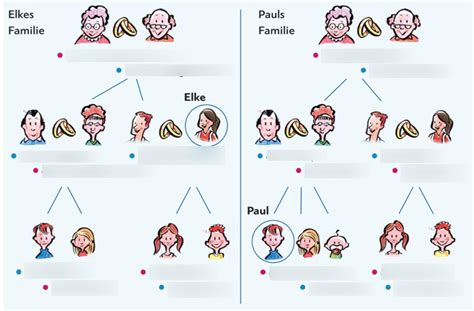 Schaubild Schaubild Familie Quizlet