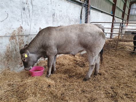 Brachial Plexus Nerve Damage The Farming Forum Brachial Plexus Nerve Damage The Farming Forum