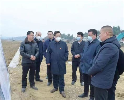 湖南省湘潭市委书记带队赴湘乡市泉湖村调研乡村振兴和春耕备耕工作 消费日报网
