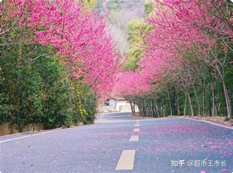 达人店达赏聚焦农文旅融合新业态 引导创业远离传销刷单危害 知乎