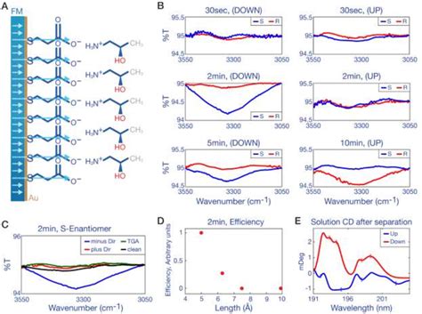 Figure 1 From The Electron Spin As A Chiral Reagent Semantic Scholar