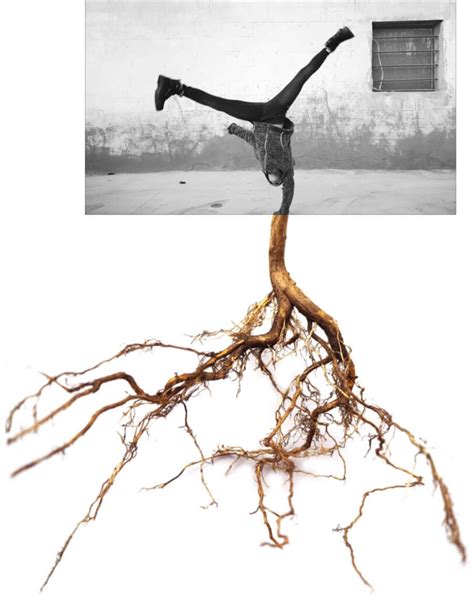 Home Seedcode Custom Software