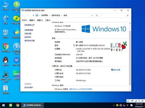 萝卜家园 Windows10 64位 优化精简版 V202403 系统兔一键重装系统官网人人都会重装系统