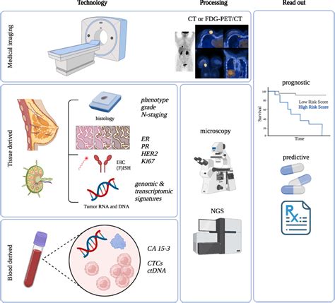 Luminal Breast Cancer Bctt