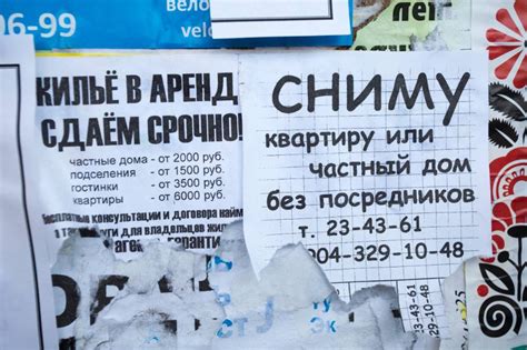 Эксперт объяснил кому не стоит сдавать квартиру в аренду