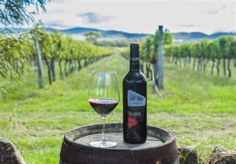 Ballandean Estate Wine International Association Wia