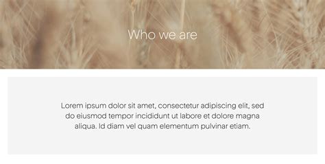 Who We Are Sequoia Sentinels