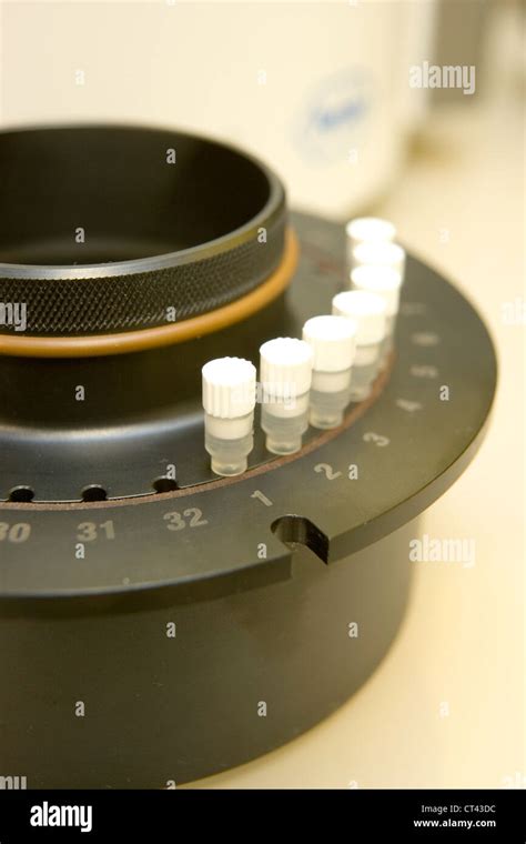 Reazione Pcr Immagini E Fotos Stock Alamy