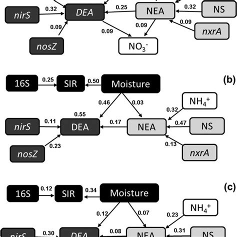 Structural Equation Models SEM Bridging The Effects Of Microbial And
