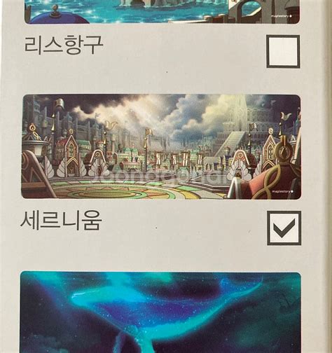 메이플스토리 장패드 세르니움 루디브리엄 기타 주변기기 중고나라
