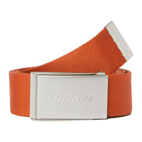 Belt Dickies Brookston Ginger Sample Skate Shop