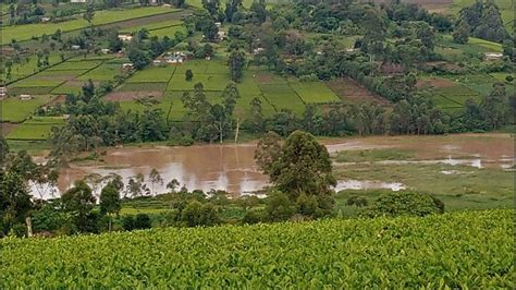 Live Interview With Hon Bernard Kitur Mp Nandi Hills Constituency Youtube