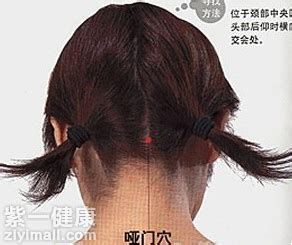 枕骨的正确位置图 枕骨图片 顶骨的位置图片 第4页 大山谷图库