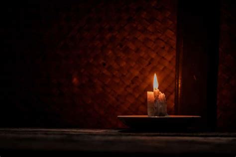 Mad Facts About Percy Shelley England S Lost Poet