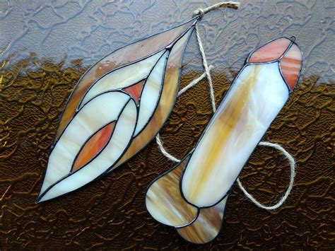 Erect Penis Dick Vagina Vulva Pussy A Set Of Two Xxx Items To