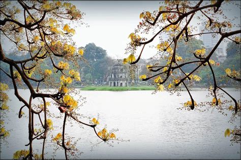 Top Hình Ảnh Mùa Xuân Đẹp Nhất ️ Top Thế Giới Và Việt Nam