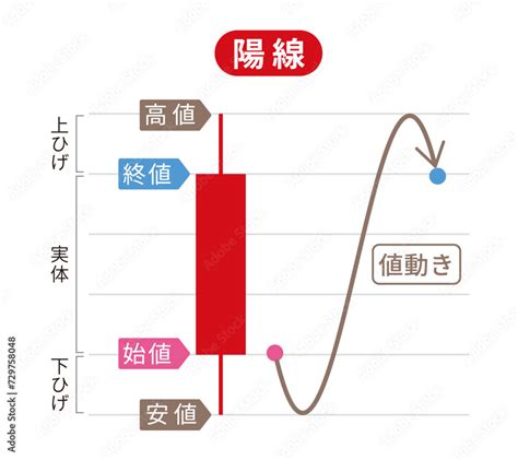 ローソク足の解説、解説図、詳細、陰線のベクターイラスト Stock Vector Adobe Stock