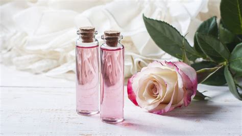 Buy Damask Rose Essential Oil At An Exceptional Price Arad Branding