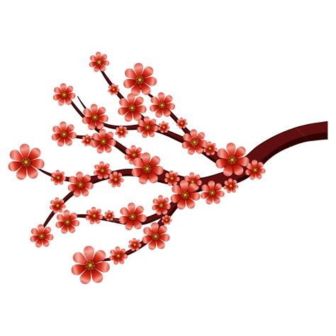 Chinese Cherry Blossom New Year Japanese Cherry Blossom Chinese