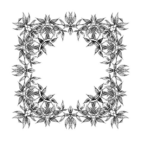 Premium Vector Ornate Framing Vector Square Frame With Twigs And