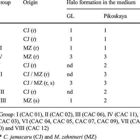 Potential Phosphate Solubilization In Artificial Culture Medium