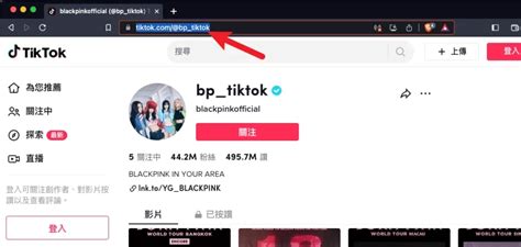 如何下載 Tiktok 影片？千萬不能錯過這套專業下載軟體工具！ Ted聊科技