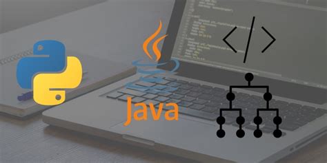 Teach Oop Data Structures Java And Python Programming By Hudiye Fiverr