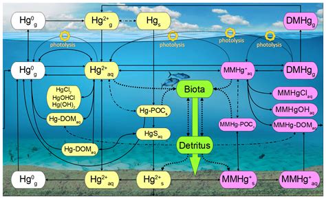 Mercury Solubility Chart