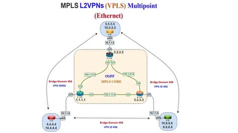 Mohamed Elhady On Linkedin 16 Mpls L2 Vpn Vpls Multipoint Lab شرح عربى