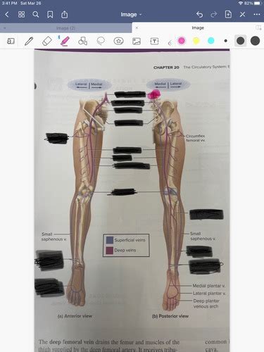 Lab Quiz Flashcards Quizlet Lab Quiz Flashcards Quizlet
