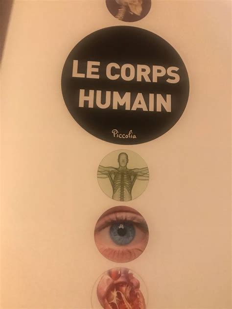 Livre Tout Comprendre Sur Le Corps Humain Piccolia Beebs