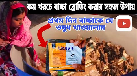 ১দিন বয়সে বাচ্চার বোডিং প্রস্তুতি এবং প্রথম দিন কি ওষুধ খাওয়াতে হবে। বোর্ডিং করার সহজ পদ্ধতি