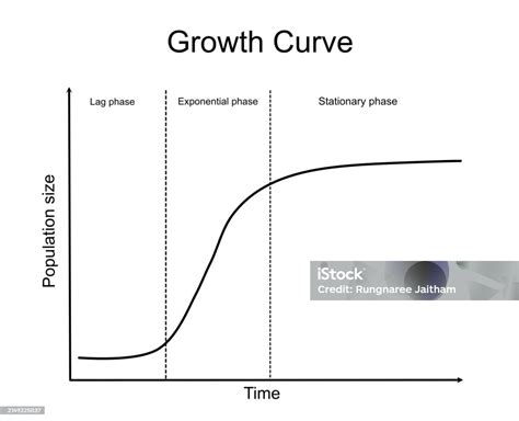 The Growth Curves Of Relationship Between Population Size And The