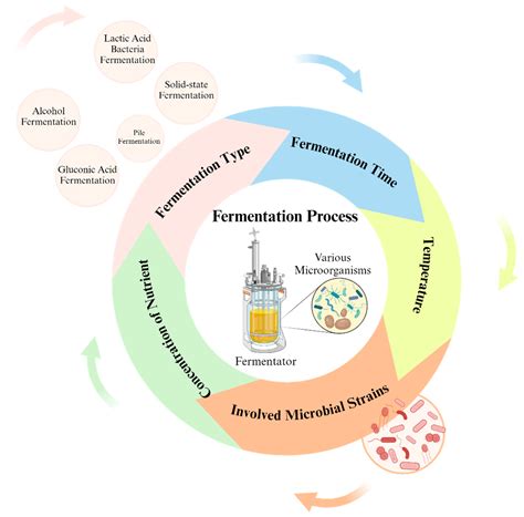 Molecules Free Full Text The Impact Of Fermentation On The Antioxidant Activity Of Food Products