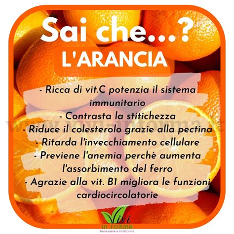 Sai Che I Mirtilli Vivi In Forma Benessere E Nutrizione