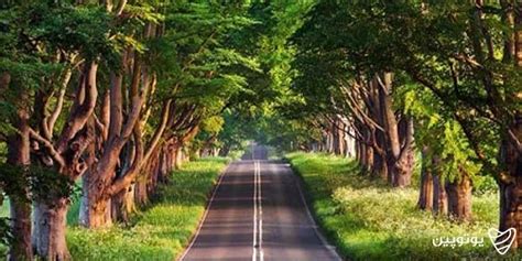 جاهای دیدنی خلخال؛ راهنمای سفر، جاهای دیدنی و مسیرهای دسترسی