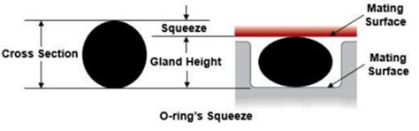O Ring Groove Gland Design A Detailed Guideline Wayken