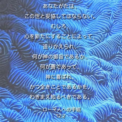 ローマ人への手紙 122 Jcb この世の人々の生活や考え方をまねてはいけません。むしろ、神に喜ばれることは何かを思いながら、なすこと