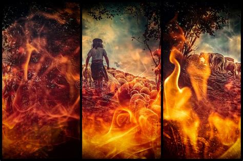 Flock Of Sheep And Shepherd Fire Effect Stock Image Image Of