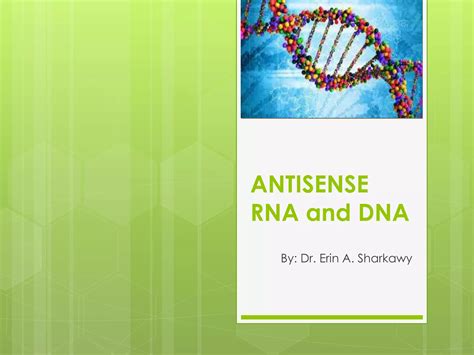Antisense Rna And Dna Pptx