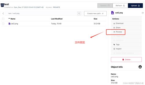 【微服务】springboot整合minio详解