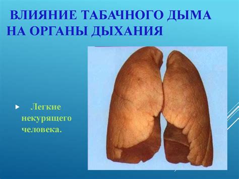 Вредное влияние курения на организм человека презентация онлайн