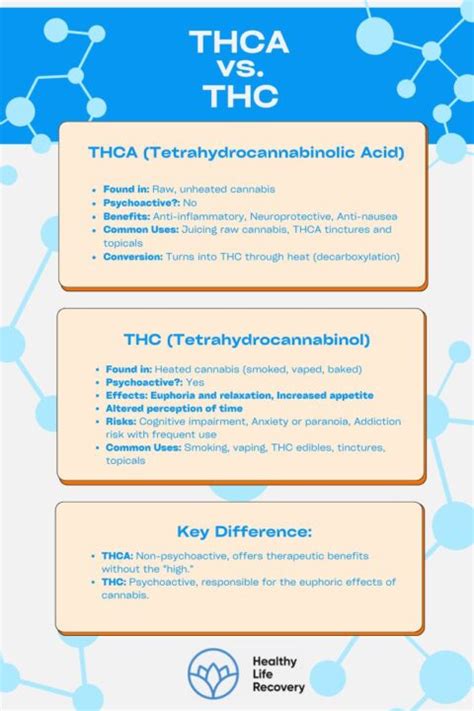 Thca Vs Thc Understanding The Difference