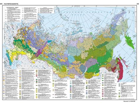Рубрика Карты в хорошем качестве Карта Растительности России Масштаб 1