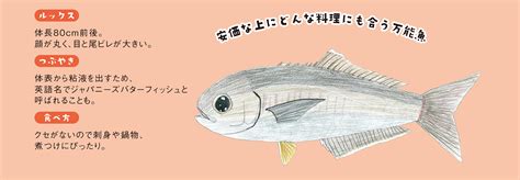 Osakana Cate｜お家で簡単！魚レシピ～旬の魚介料理をお手軽に～｜魚食普及推進センター一般社団法人 大日本水産会