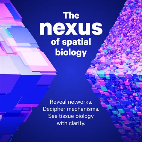 10x What Is The Nexus Of Spatial Biology Its The Critical Point
